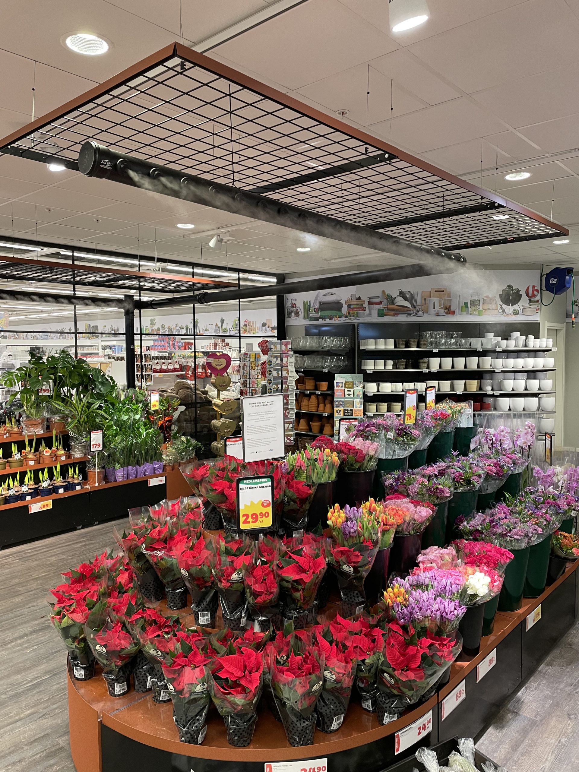 Längre hållbarhet för snittblommor och gröna växter - Seleko